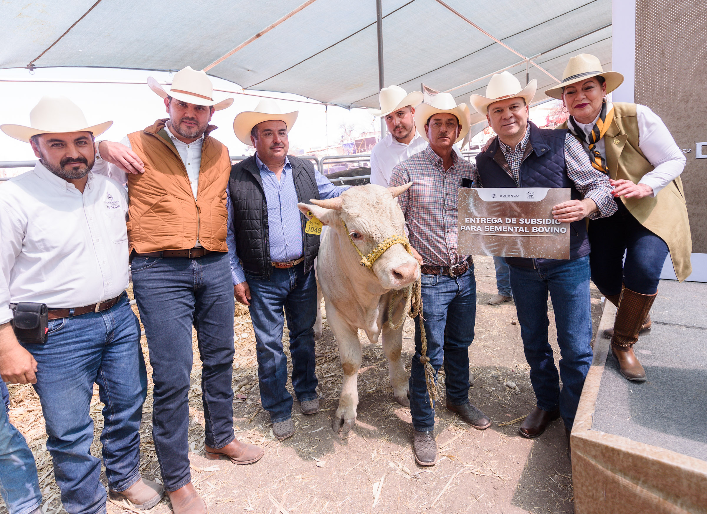 Con Mejoramiento Genético buscaremos incrementar la productividad ganadera: Esteban